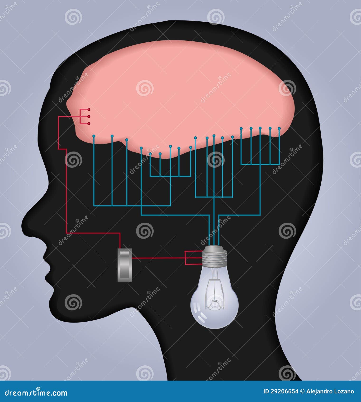 Brain illustration stock vector. Illustration of knowledge - 29206654
