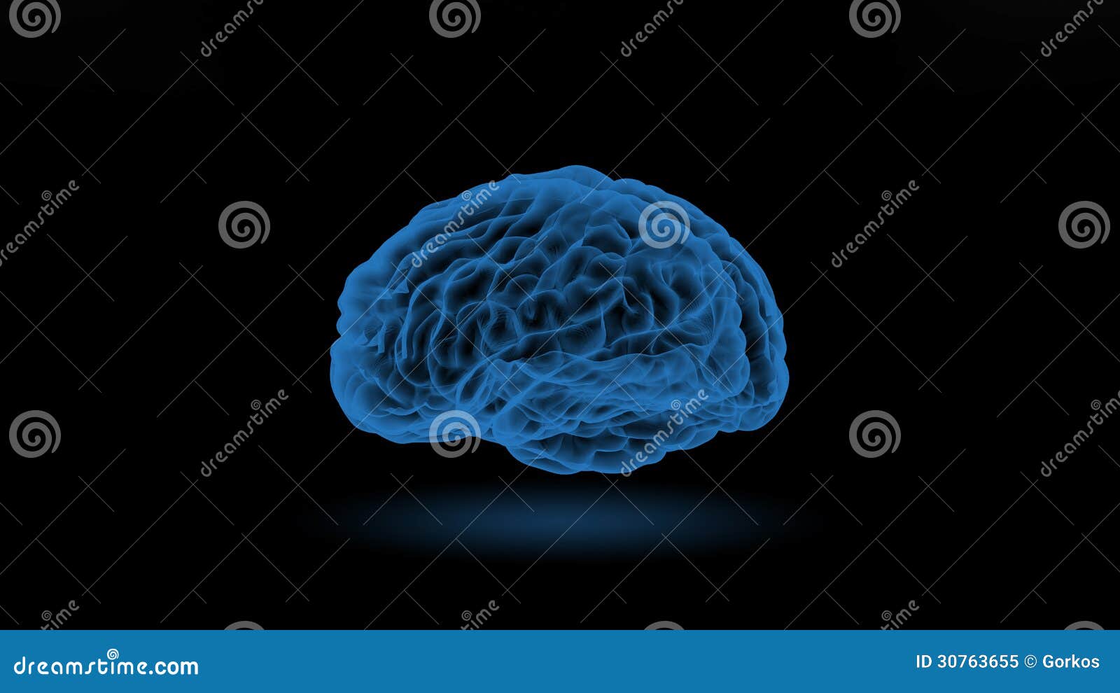 Brain stock illustration. Illustration of intelligence - 30763655