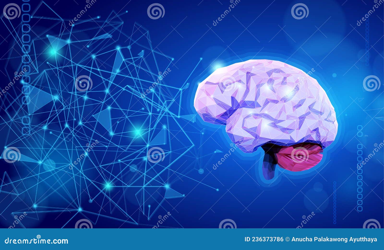 Brain Illustration Showing Connections Using Lines and Triangles Stock ...