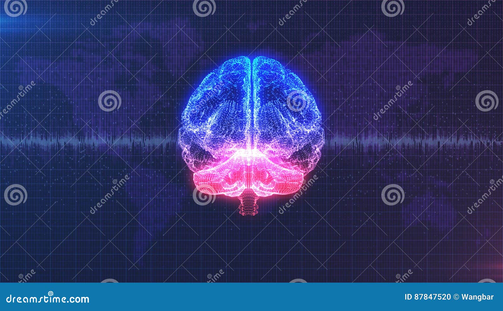 Brain Image - Digital Pink, Purple And Blue Brain With Brainwave ...