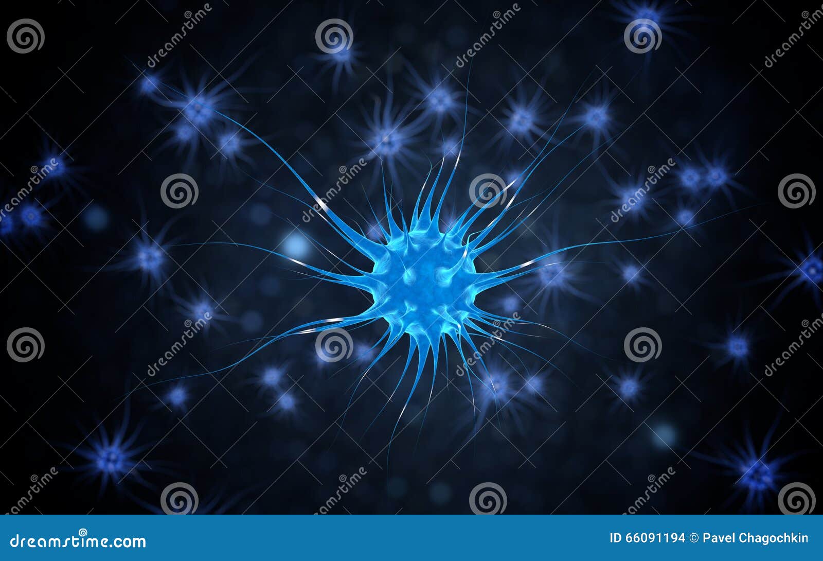 Brain Impulses. Neuron System. Human Anatomy Stock Photo - Image of ...