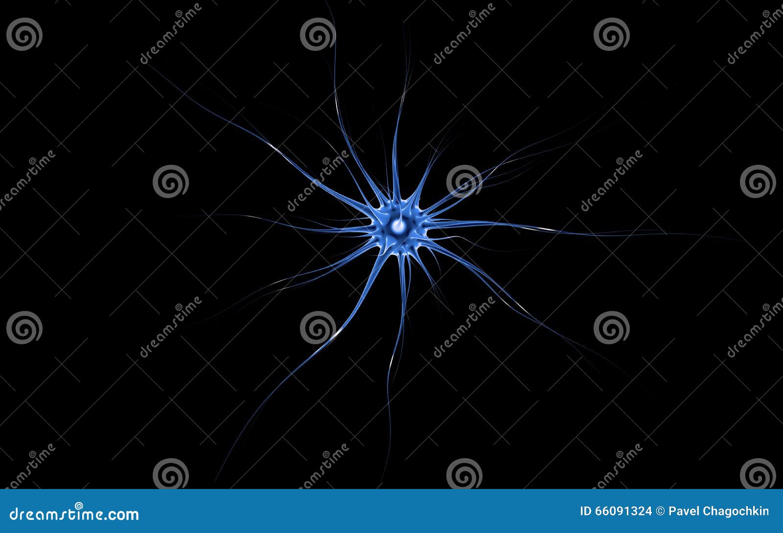 Brain Impulses. Neuron System. Human Anatomy Stock Photo - Image of ...