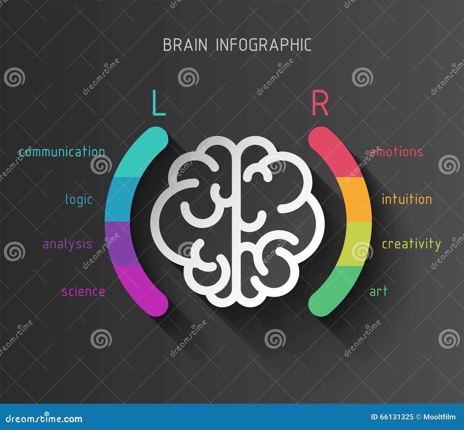 Brain Infographic Infocharts Health And Medical Cartoon Vector ...