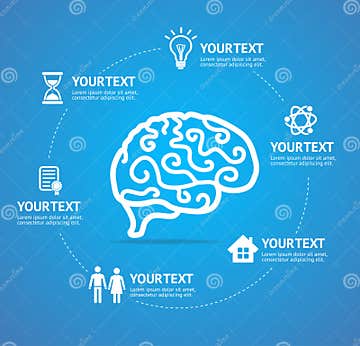 Brain Infographic Report Template. Vector Stock Vector - Illustration ...