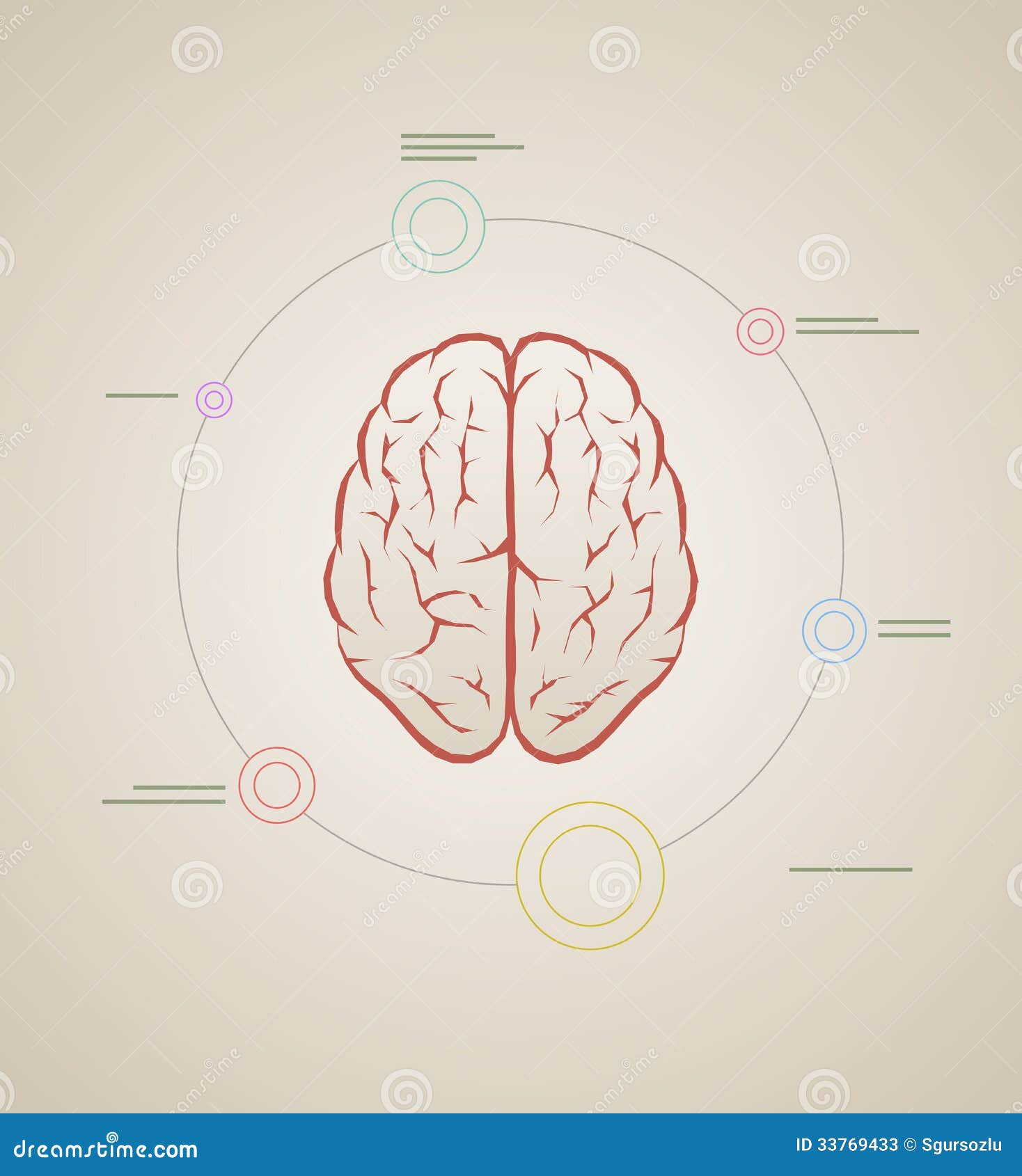Brain infographic template stock vector. Illustration of infographic ...