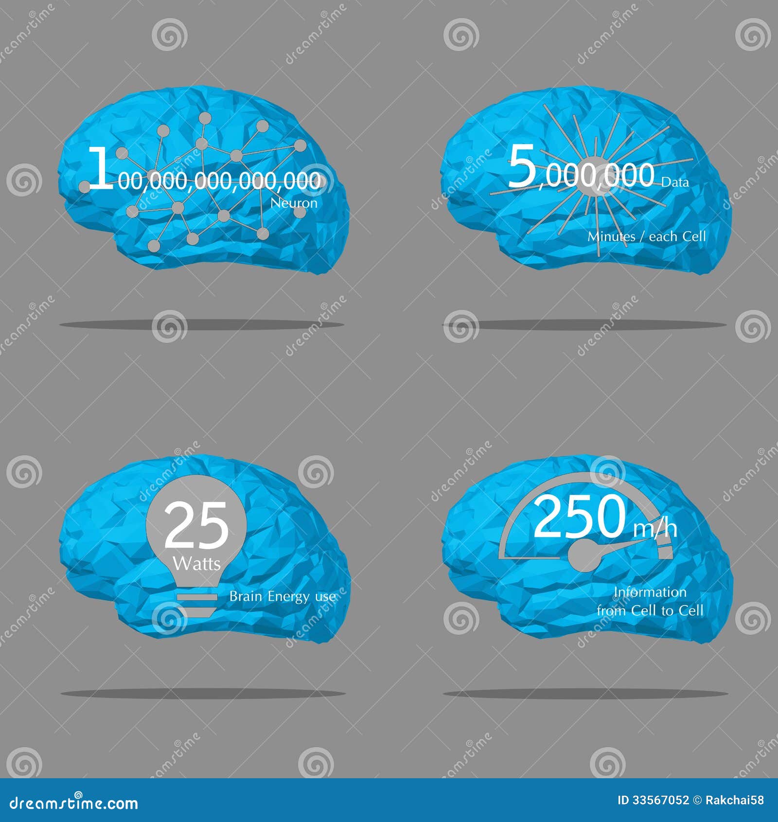 Brain information stock vector. Illustration of human - 33567052