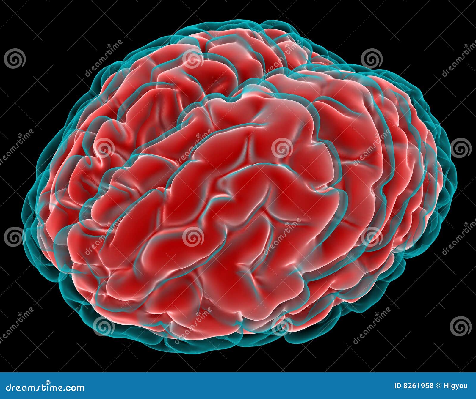 Brain Inner stock illustration. Illustration of organ - 8261958
