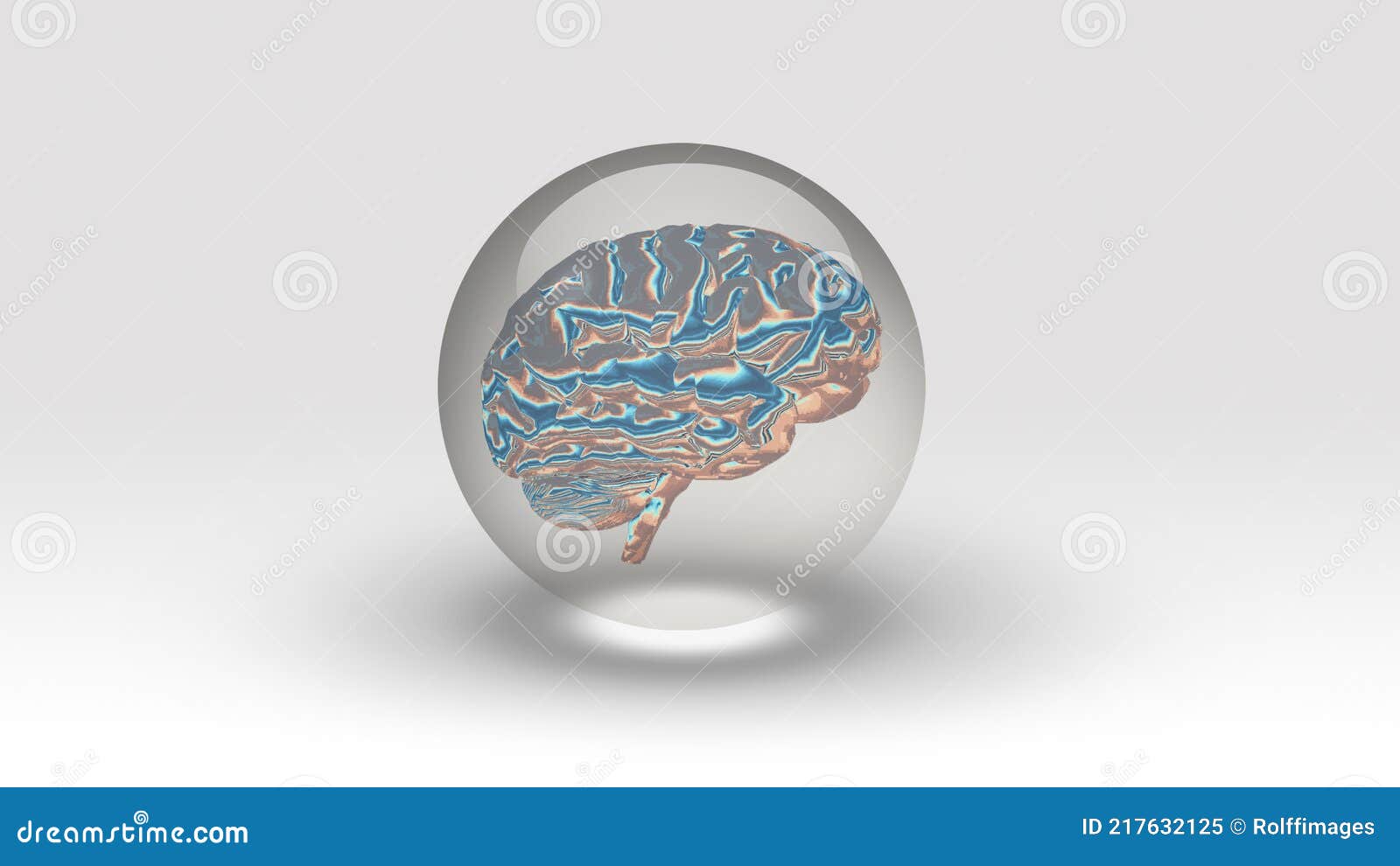 Brain Inside Bubble stock image. Image of anatomy, creativity - 217632125