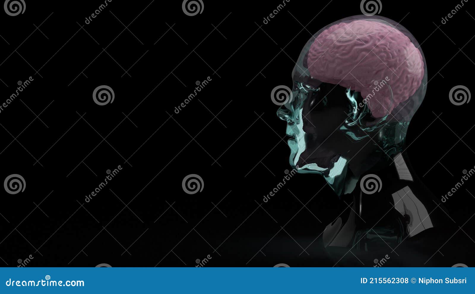 The Brain Inside Crystal Head for Education or Sci Content 3d Rendering ...