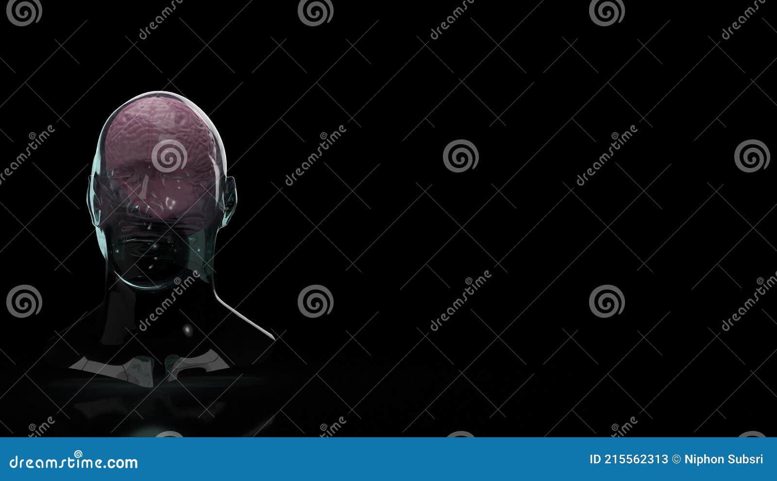 The Brain Inside Crystal Head for Education or Sci Content 3d Rendering ...