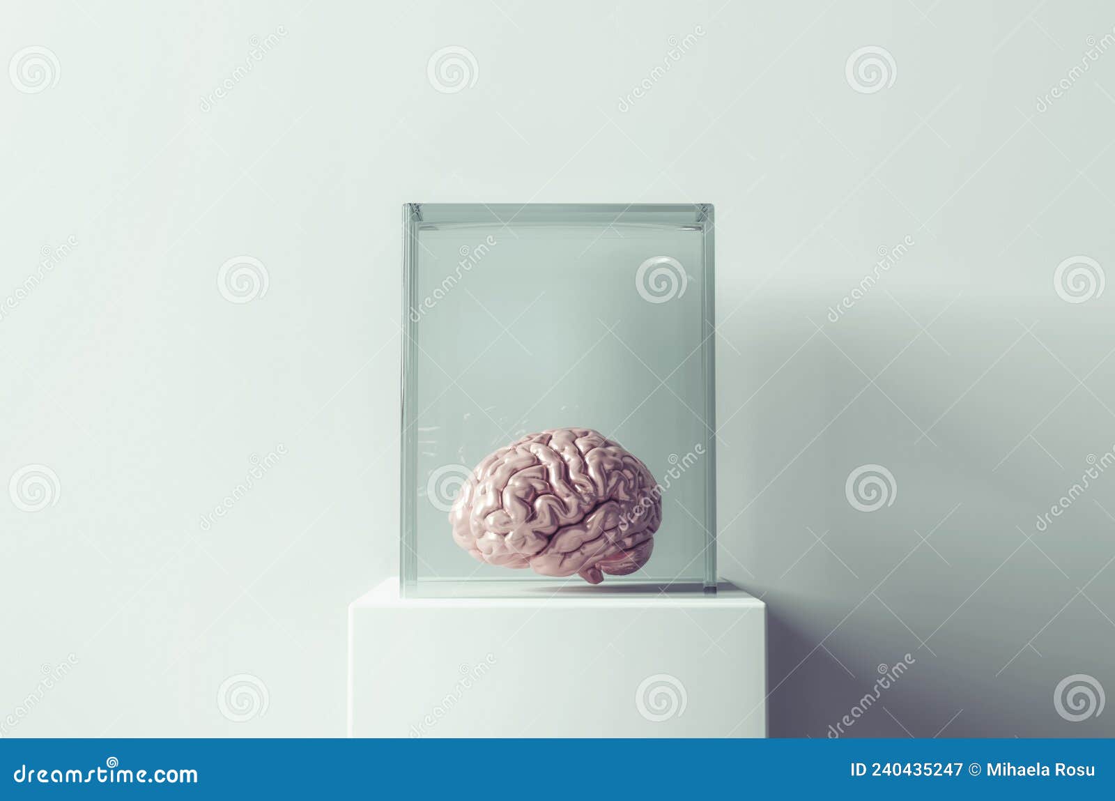 Brain inside a glass cube stock illustration. Illustration of genius ...