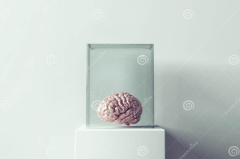Brain inside a glass cube stock illustration. Illustration of genius ...