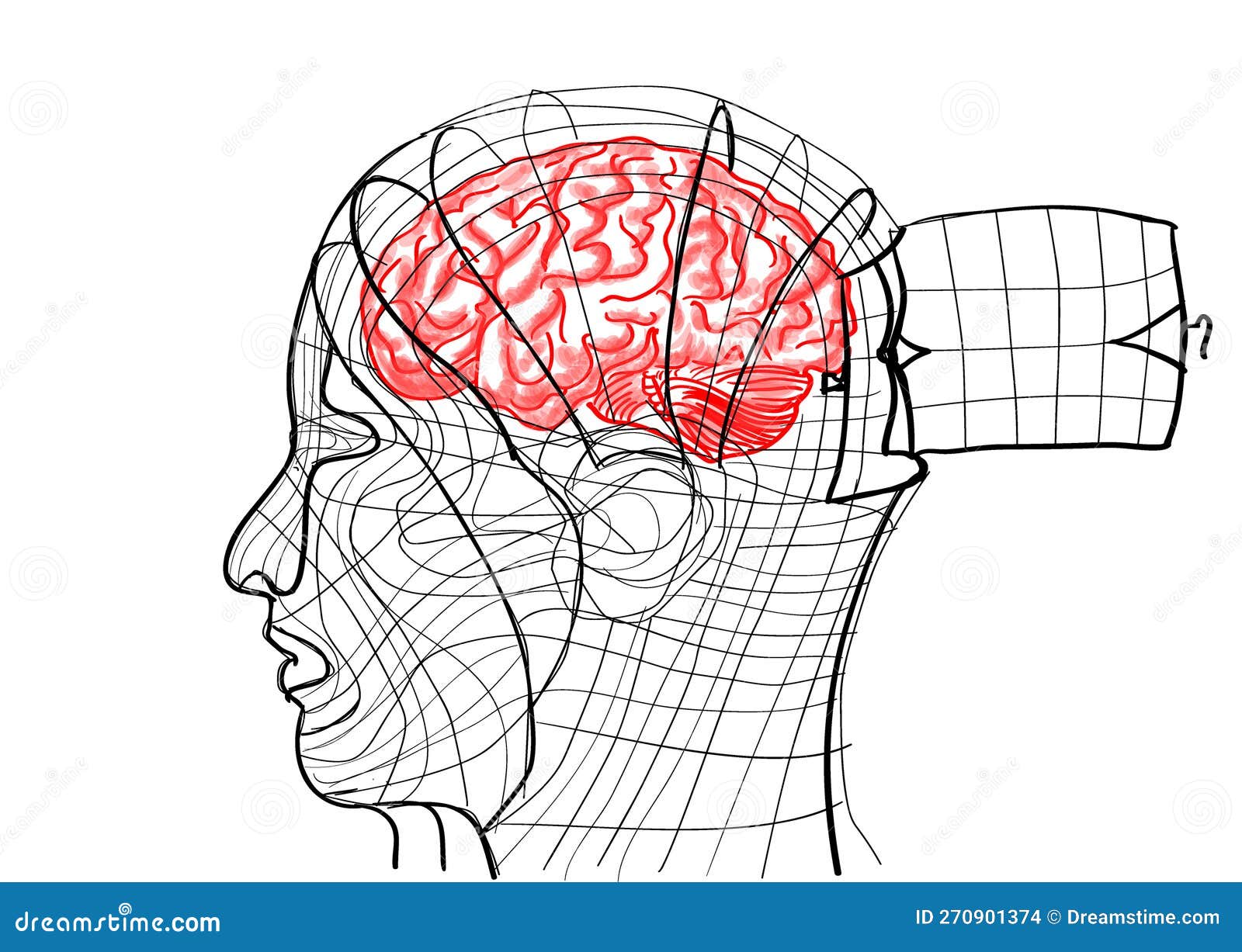 Brain inside stock vector. Illustration of vector, isolated - 270901374