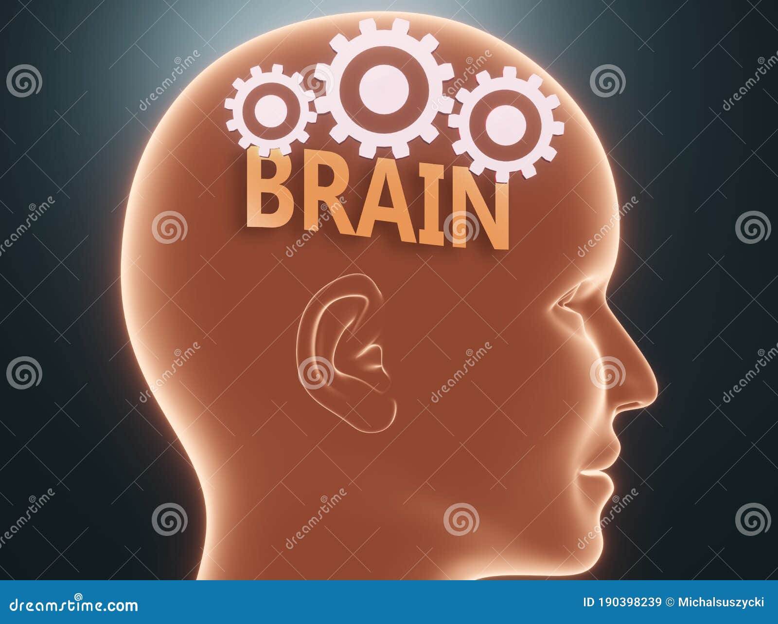 Brain Inside Human Mind - Pictured As Word Brain Inside a Head with ...
