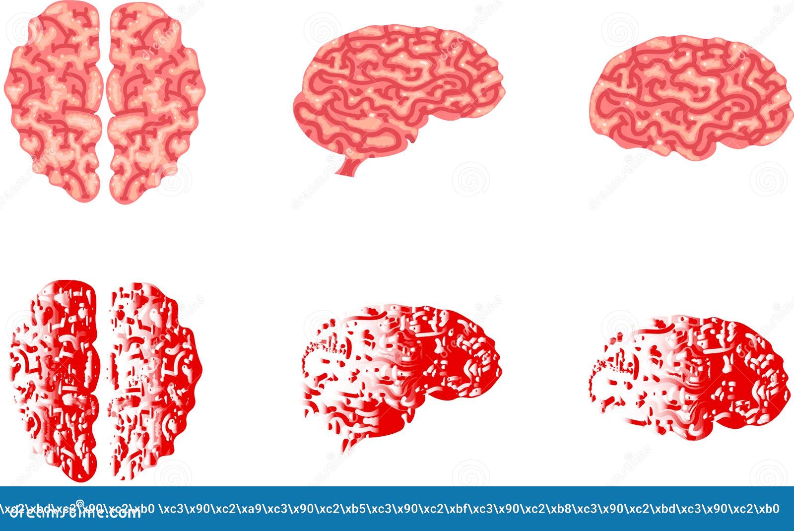 A Brain on an Isolated Background in a Cartoon Flat Style.vector ...