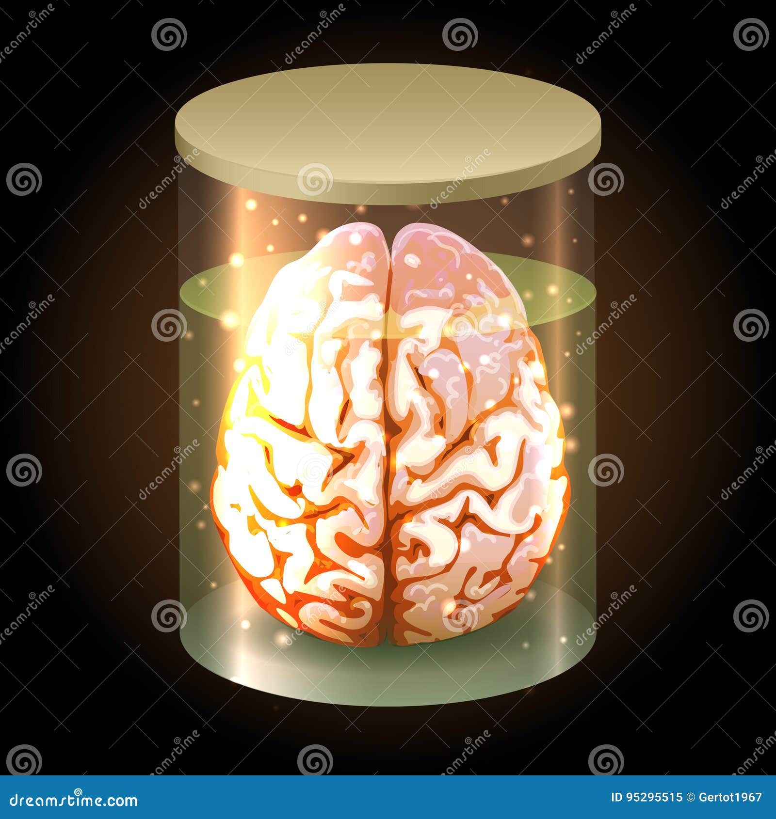 Brain in Jar stock vector. Illustration of analyze, brain - 95295515