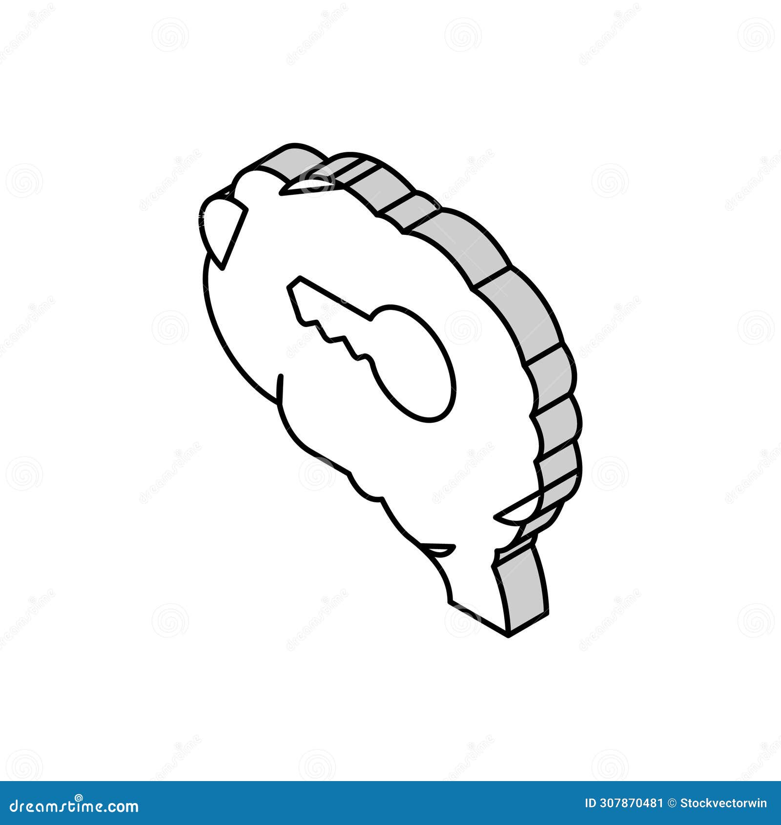 Brain with Key Isometric Icon Vector Illustration Stock Vector ...