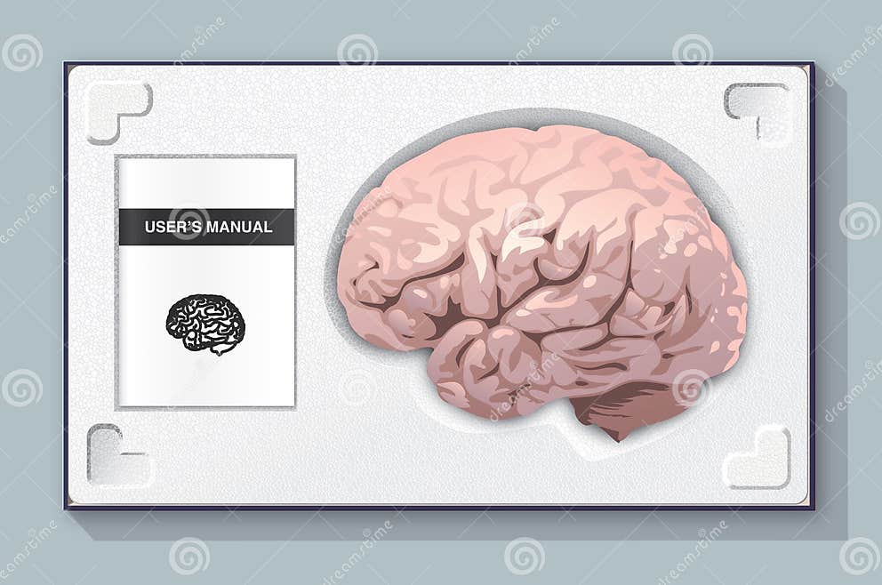 Brain Kit stock vector. Illustration of dumb, packaging - 35207237
