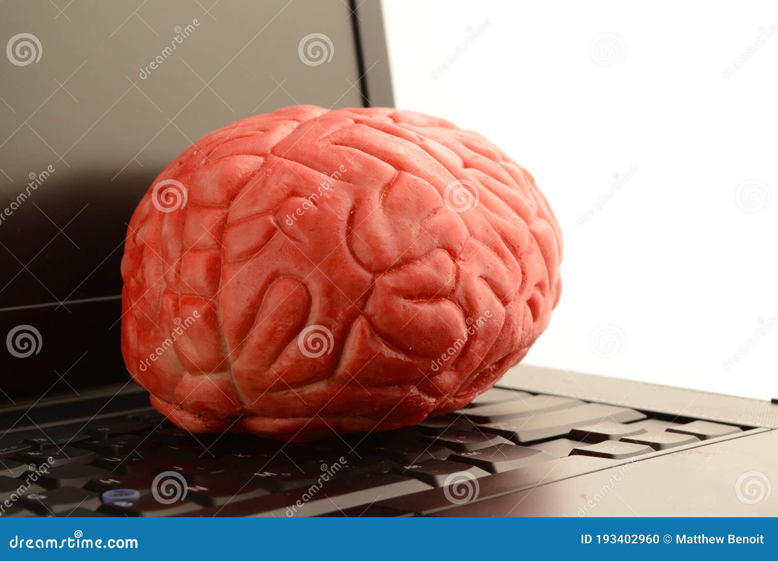 Laptop Brain Games stock photo. Image of idea, intelligence - 193402960