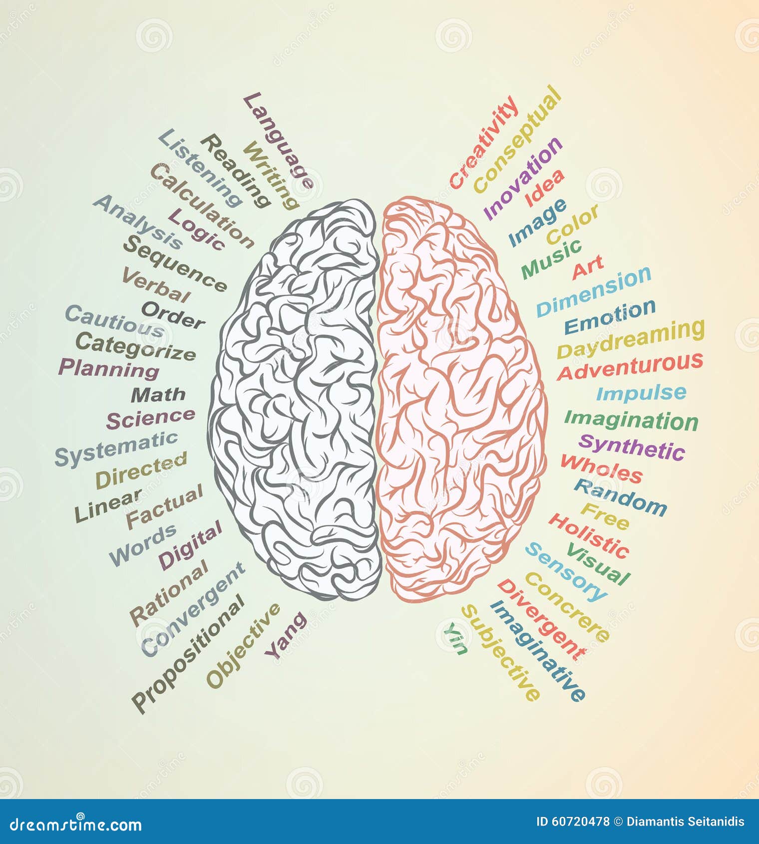 Brain Lateralization vektor illustrationer. Illustration av konst ...