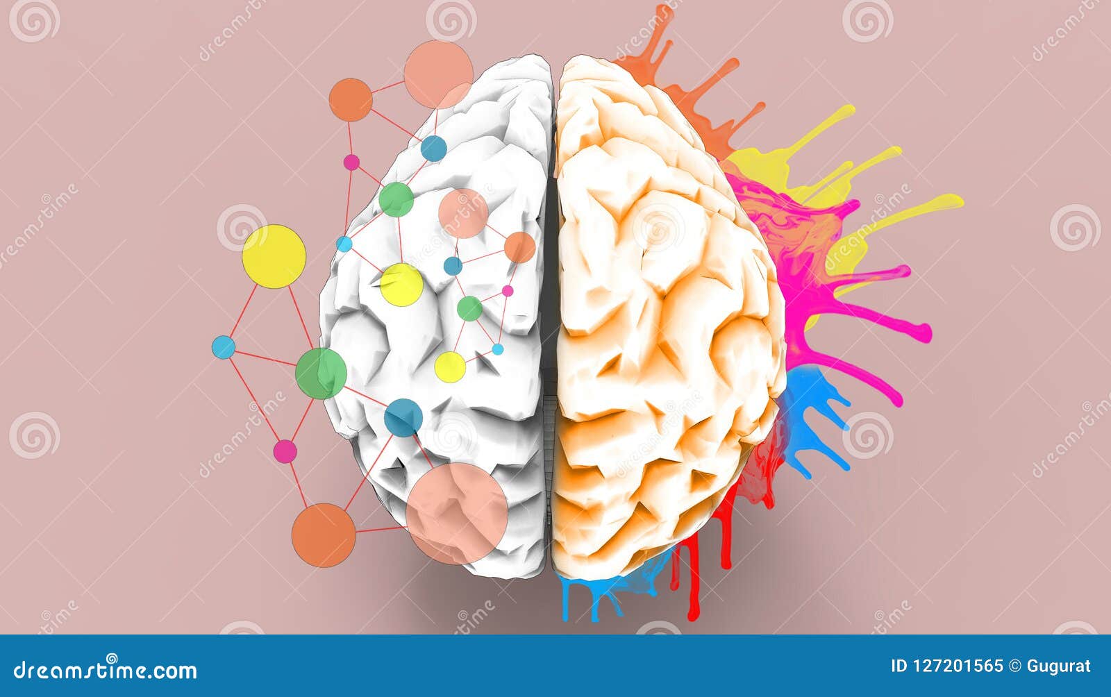 Brain Left and Right Creativity Functions Sketch Stock Illustration ...