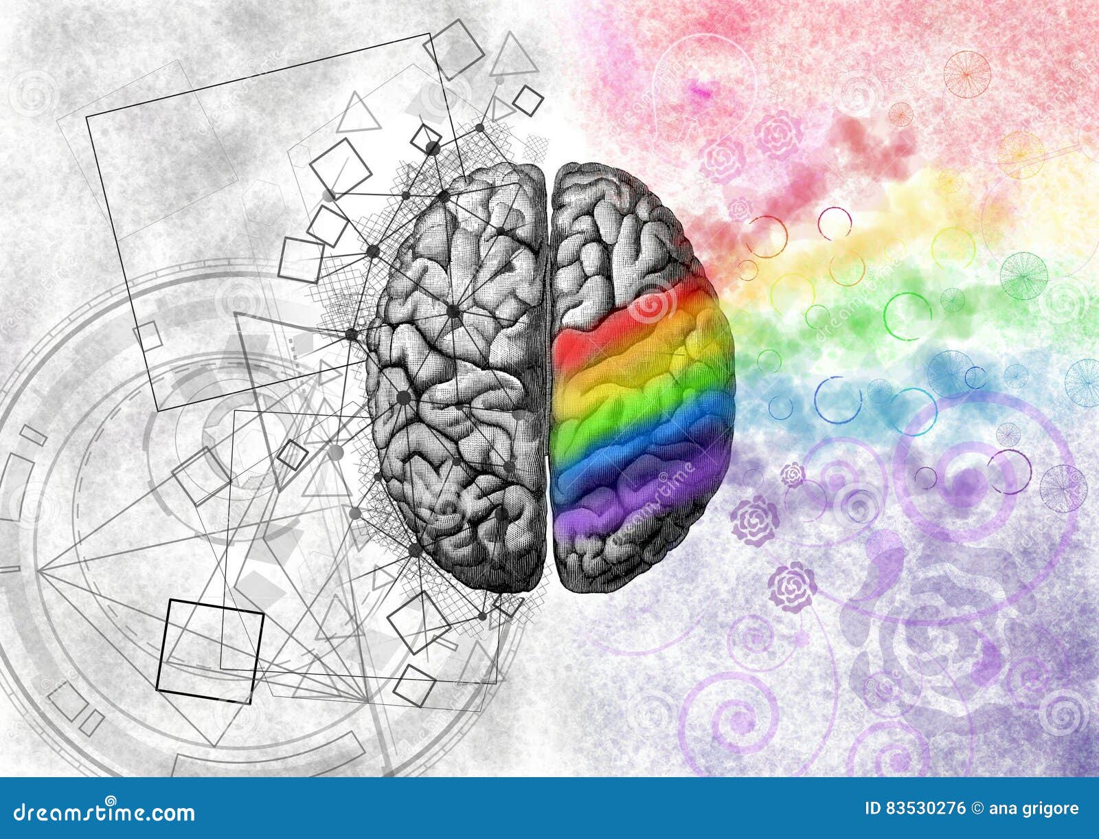 Brain stock illustration. Illustration of parts, brain - 83530276