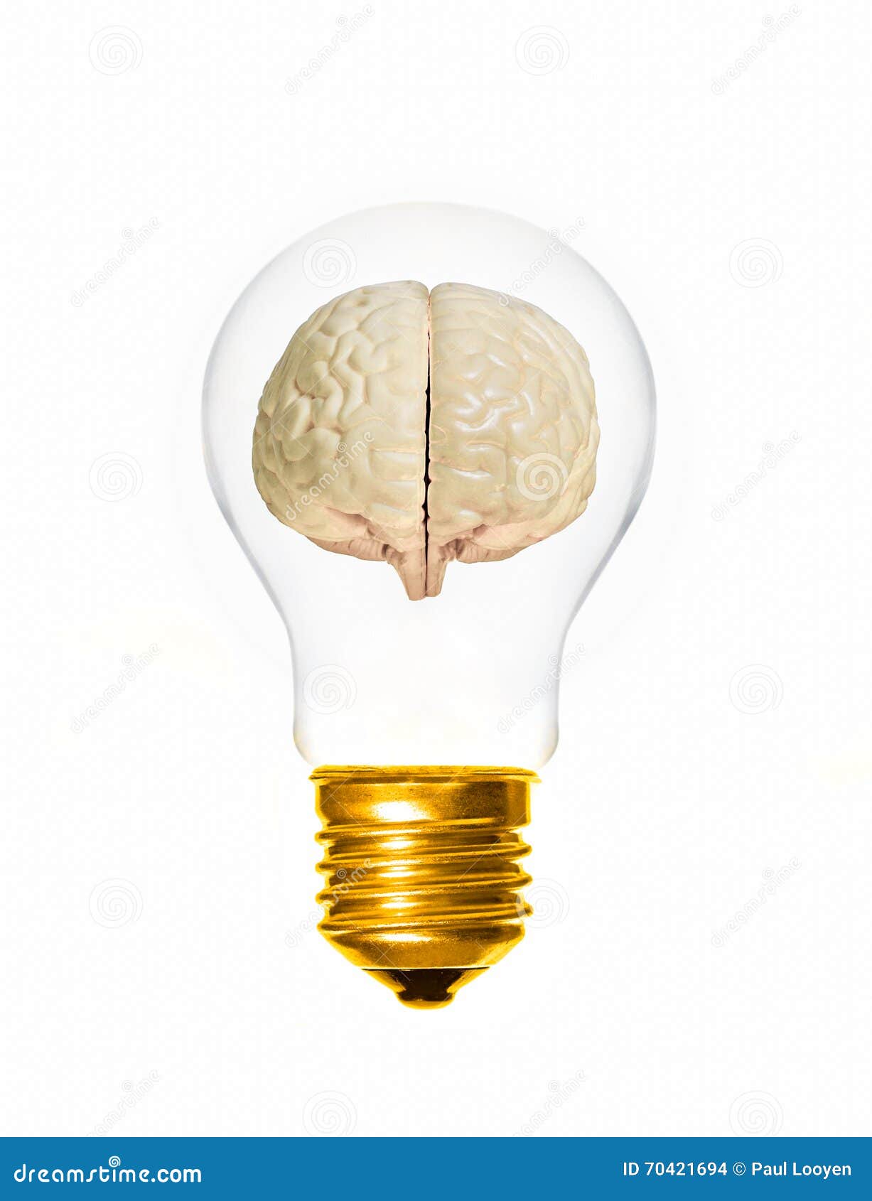 Brain light bulb stock photo. Image of energy, light - 70421694