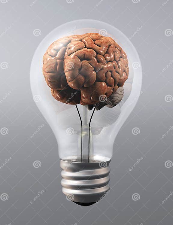 A brain into a light bulb stock illustration. Illustration of halogen ...