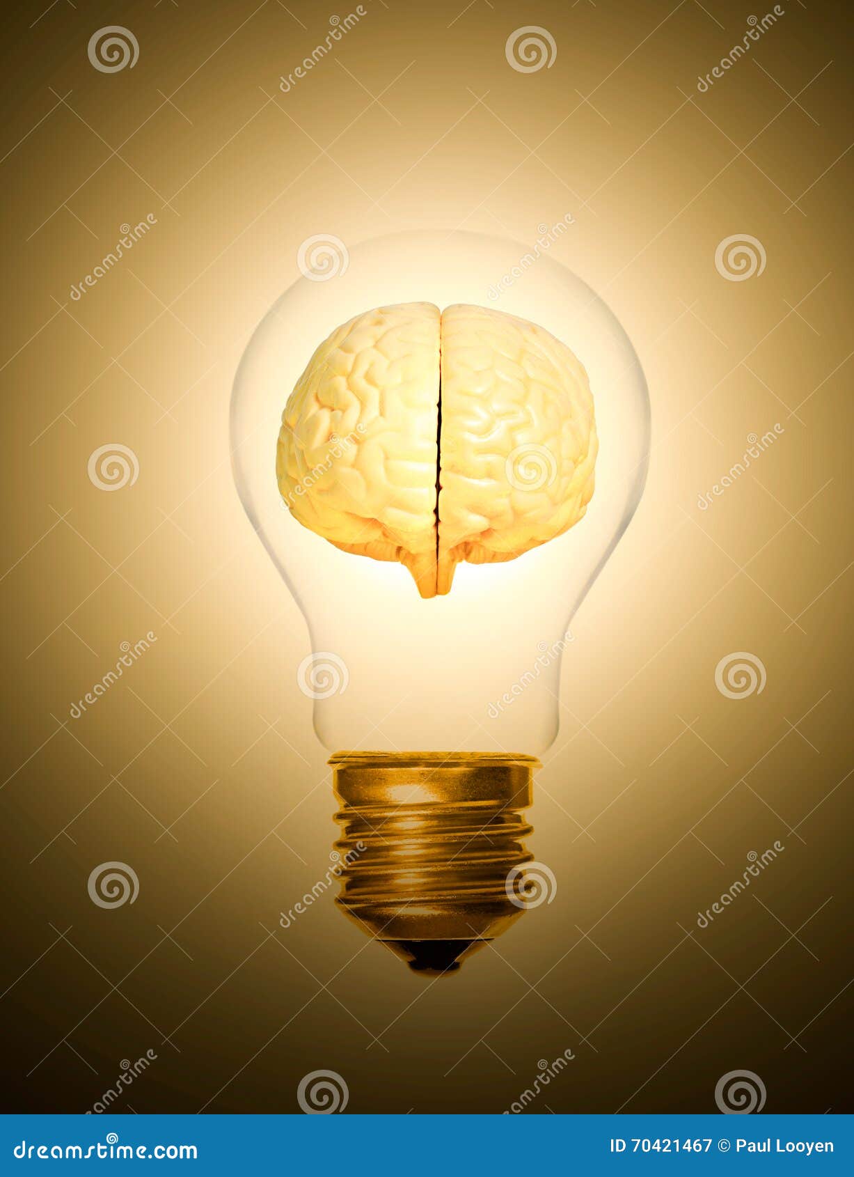 Brain light bulb lit stock image. Image of illumination - 70421467