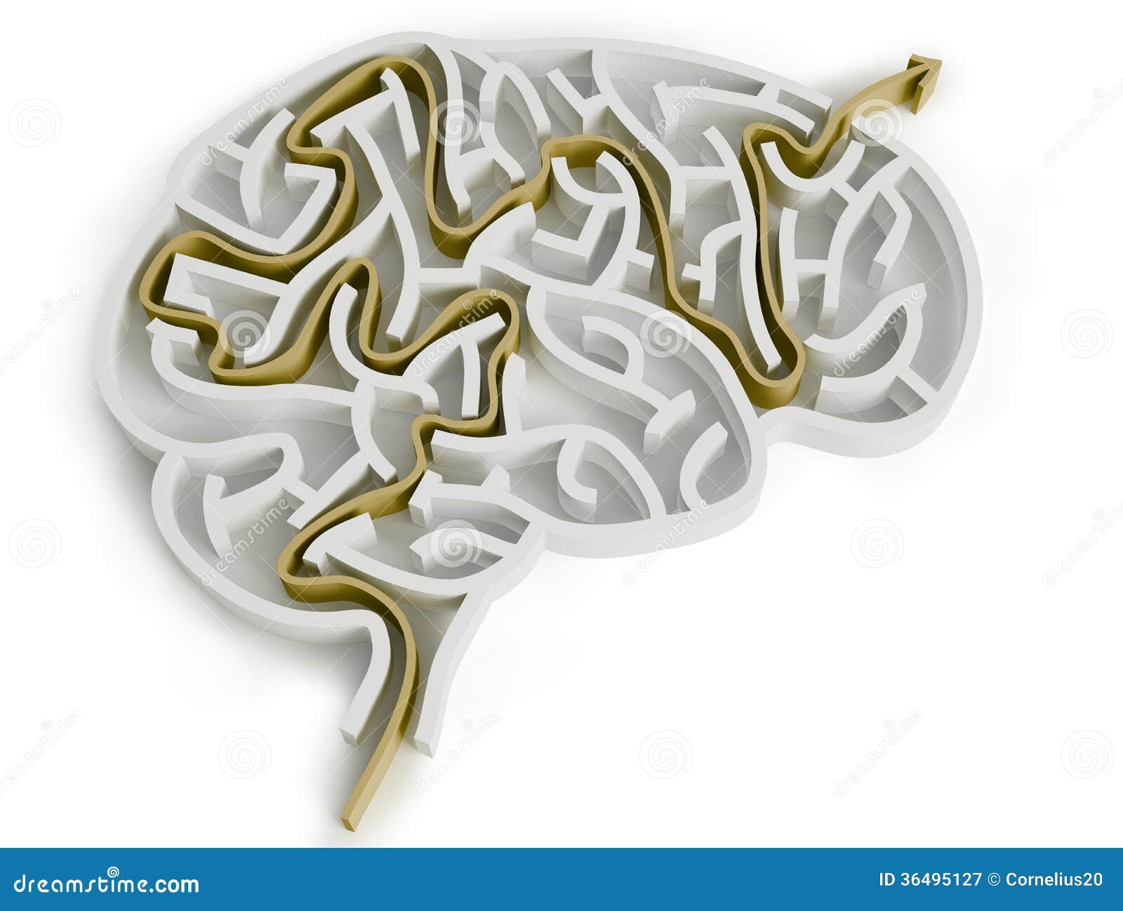 Brain Is Like A Growing Tree Vector Illustration | CartoonDealer.com ...