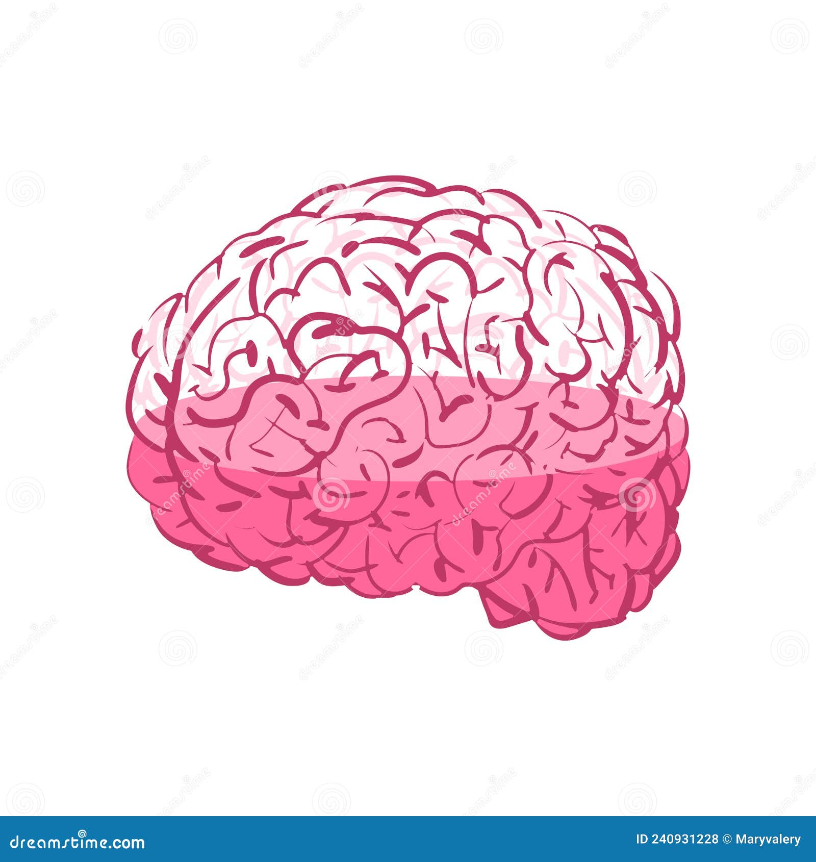Brain Loading. Vessel of Brain is Filled with Fluid Stock Vector ...
