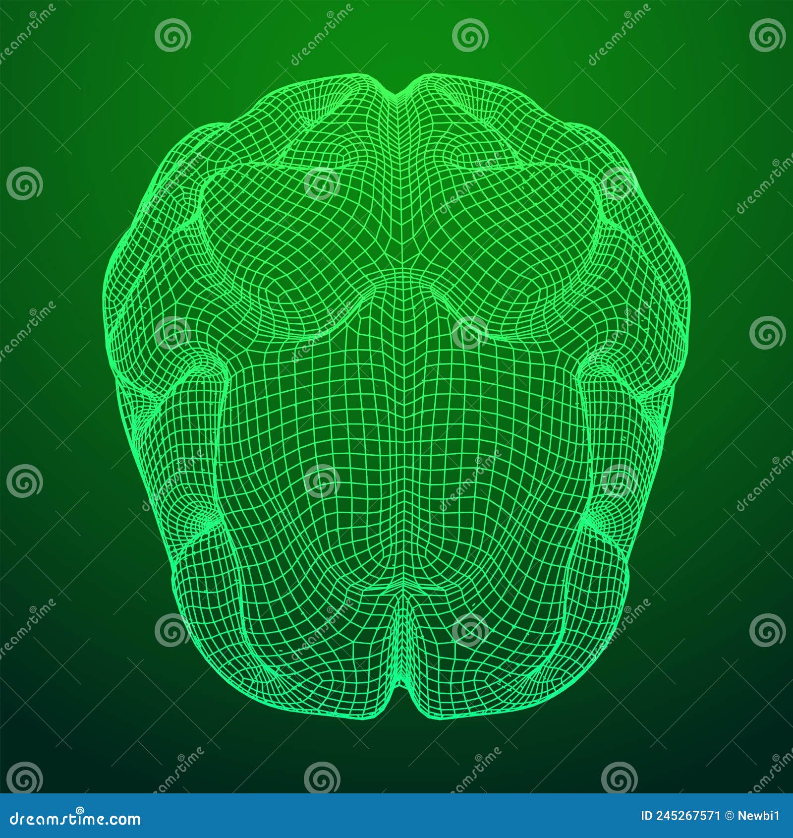 Brain. Low Poly Abstract Digital Human Brain. Wireframe Illustration ...