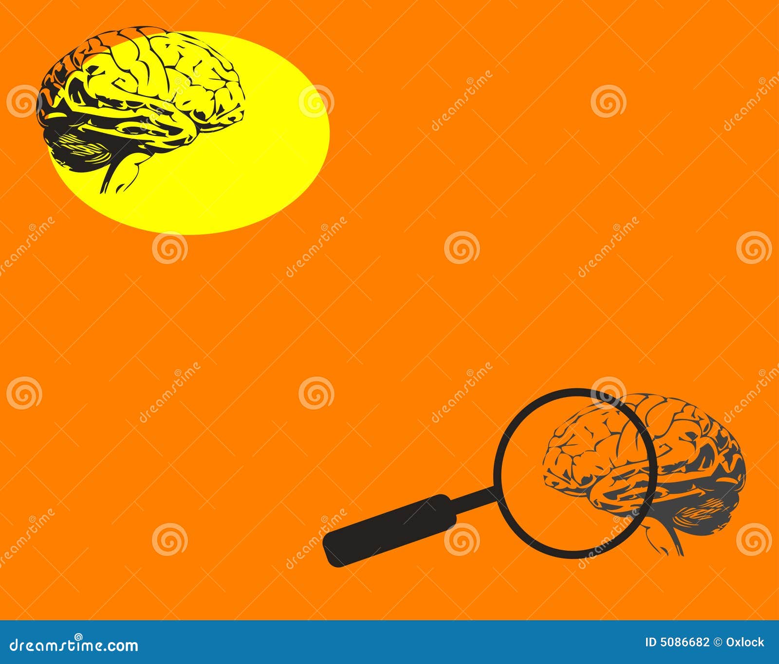 Brain With Magnifying Glass Colored Icon. Organ Research, Analyzes ...