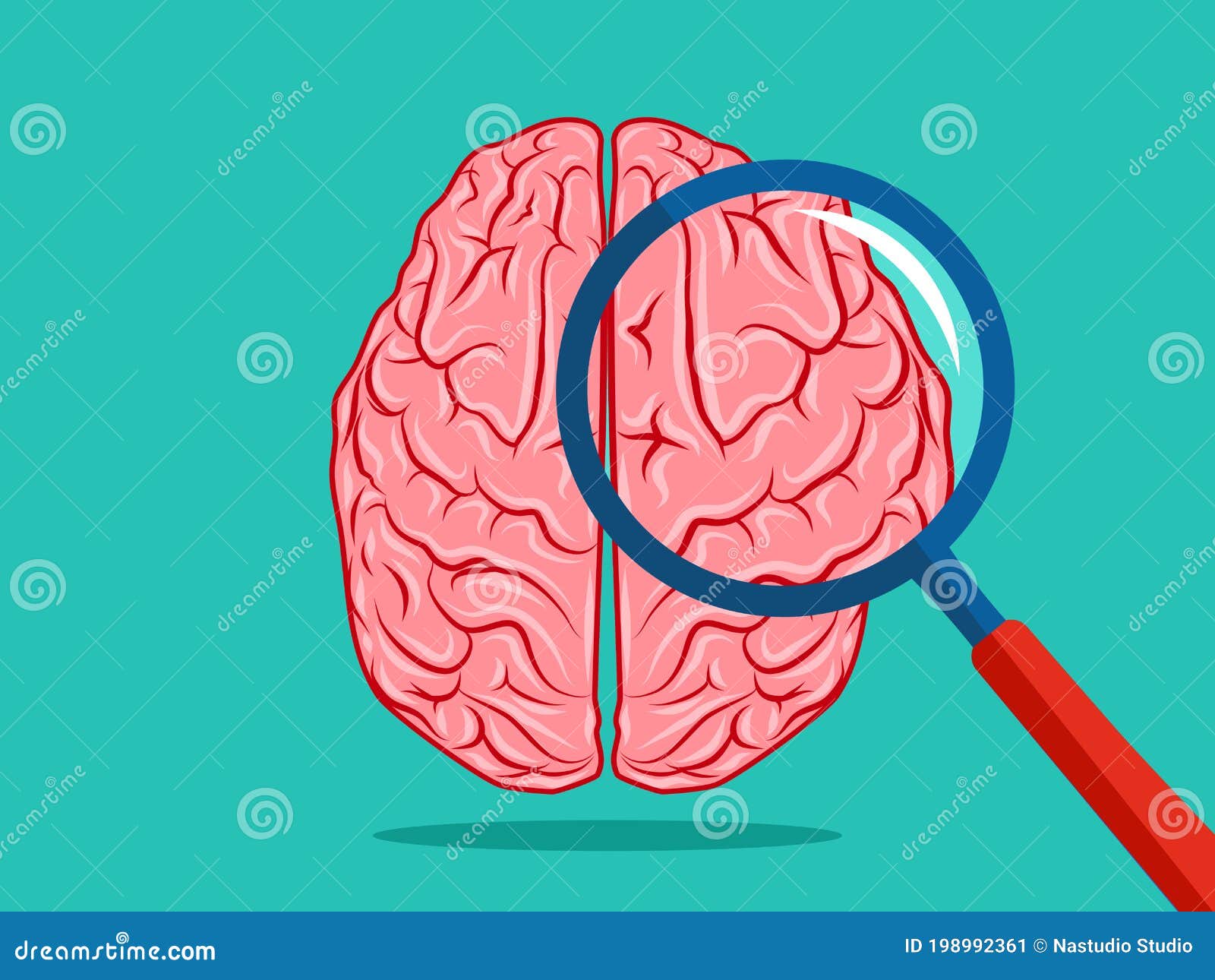 Brain and Magnifying Glass. Brain Research and Education Concept Stock ...