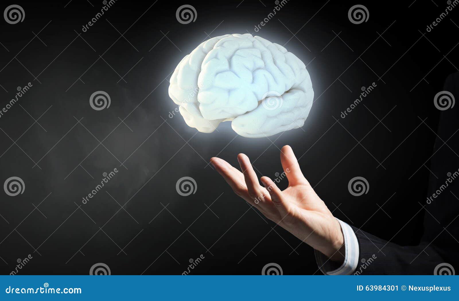Brain in male hand stock image. Image of intelligence - 63984301