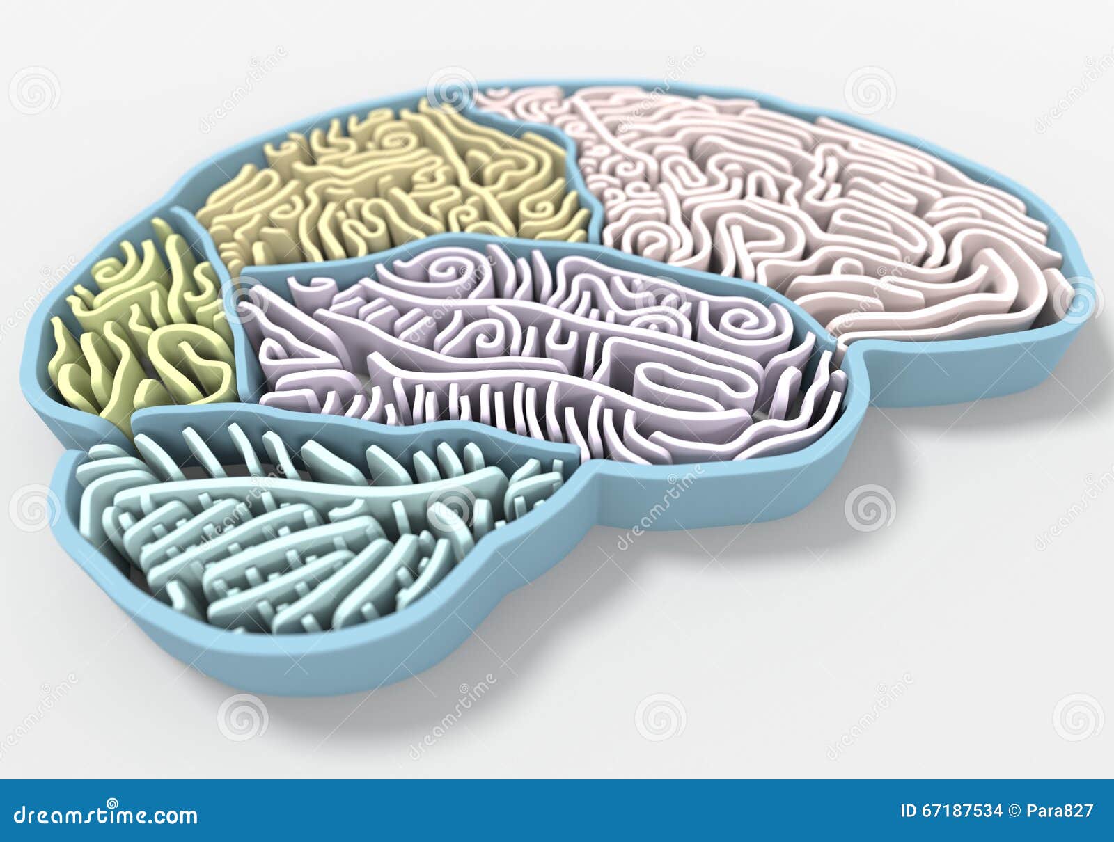 Brain maze stock illustration. Illustration of green - 67187534