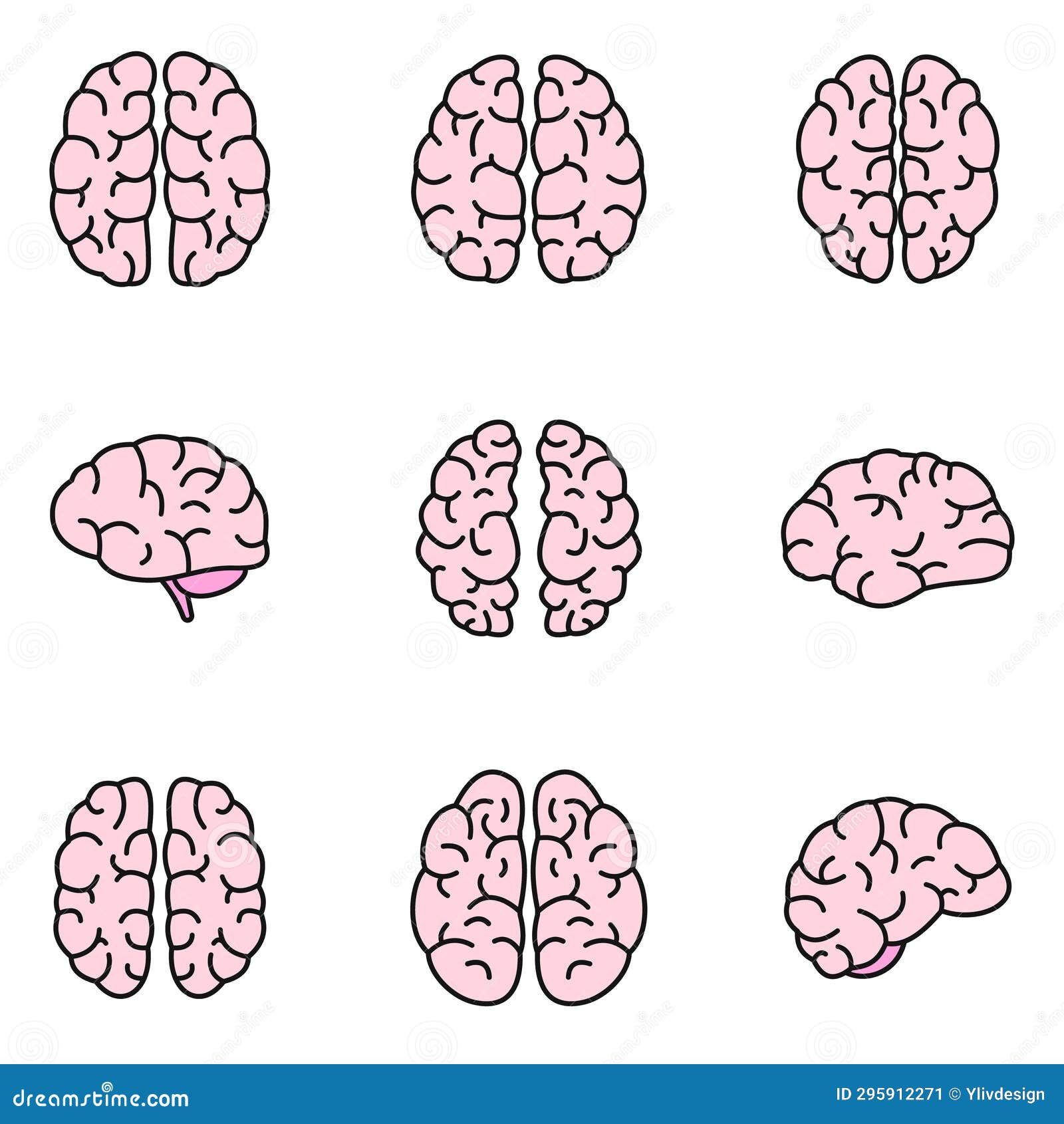 Brain Mind Icon Set Vector Color Stock Illustration - Illustration of ...
