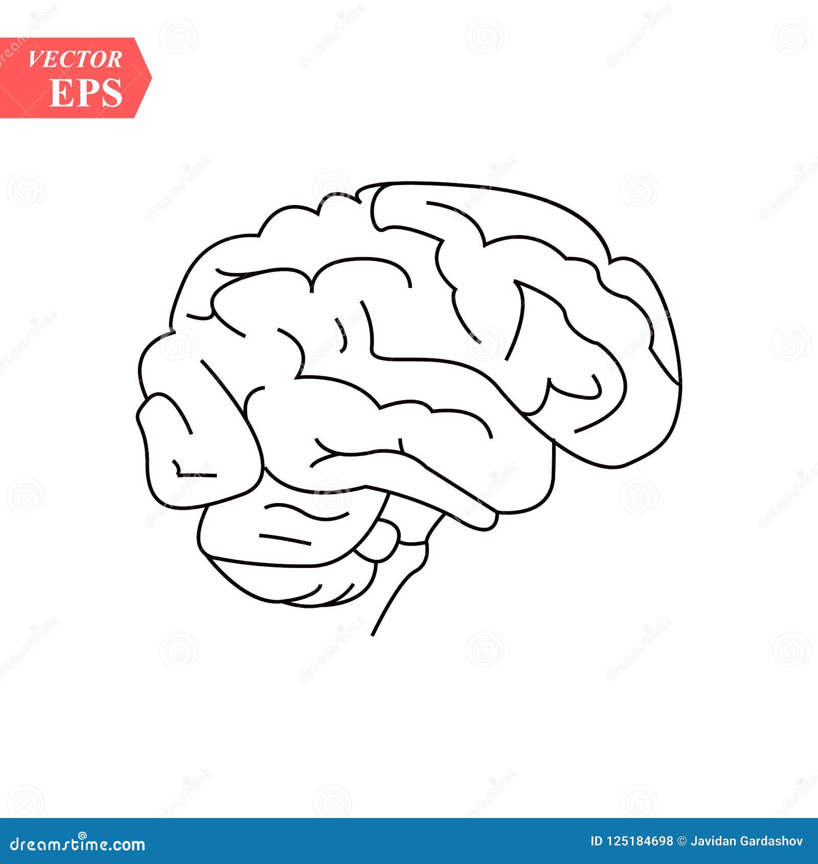 Brain, Mind or Intelligence Line Art Icon for Apps and Websites Stock ...