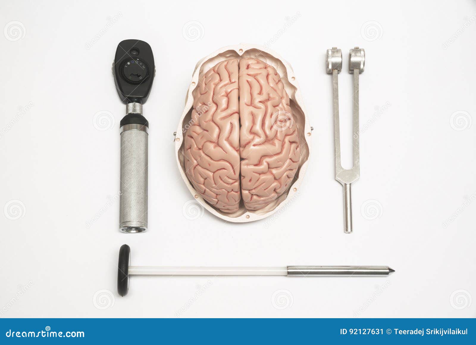 Brain model and equipment stock image. Image of equipment - 92127631