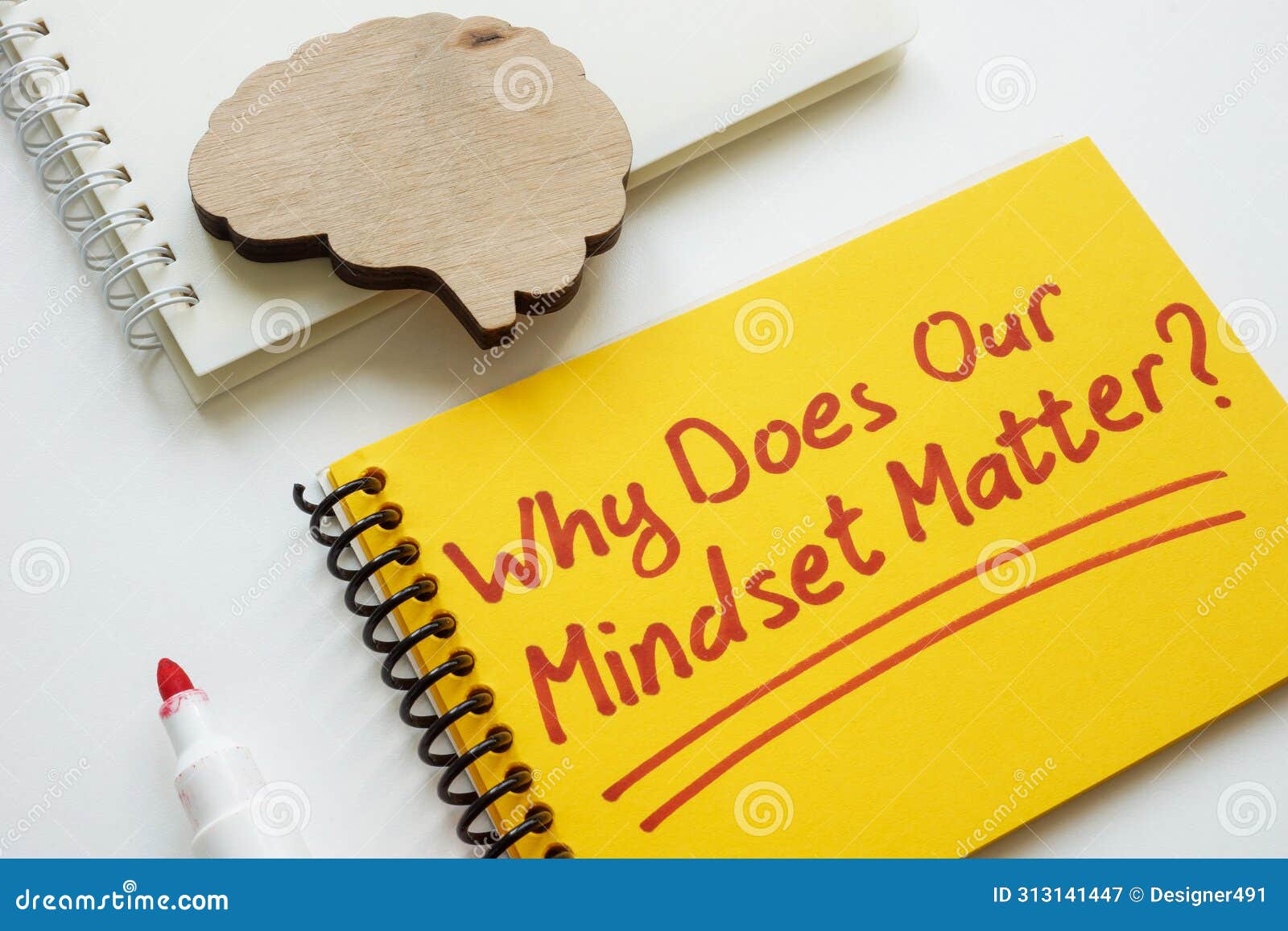 Brain Model and Notepad with a Phrase Why Does Our Mindset Matter ...