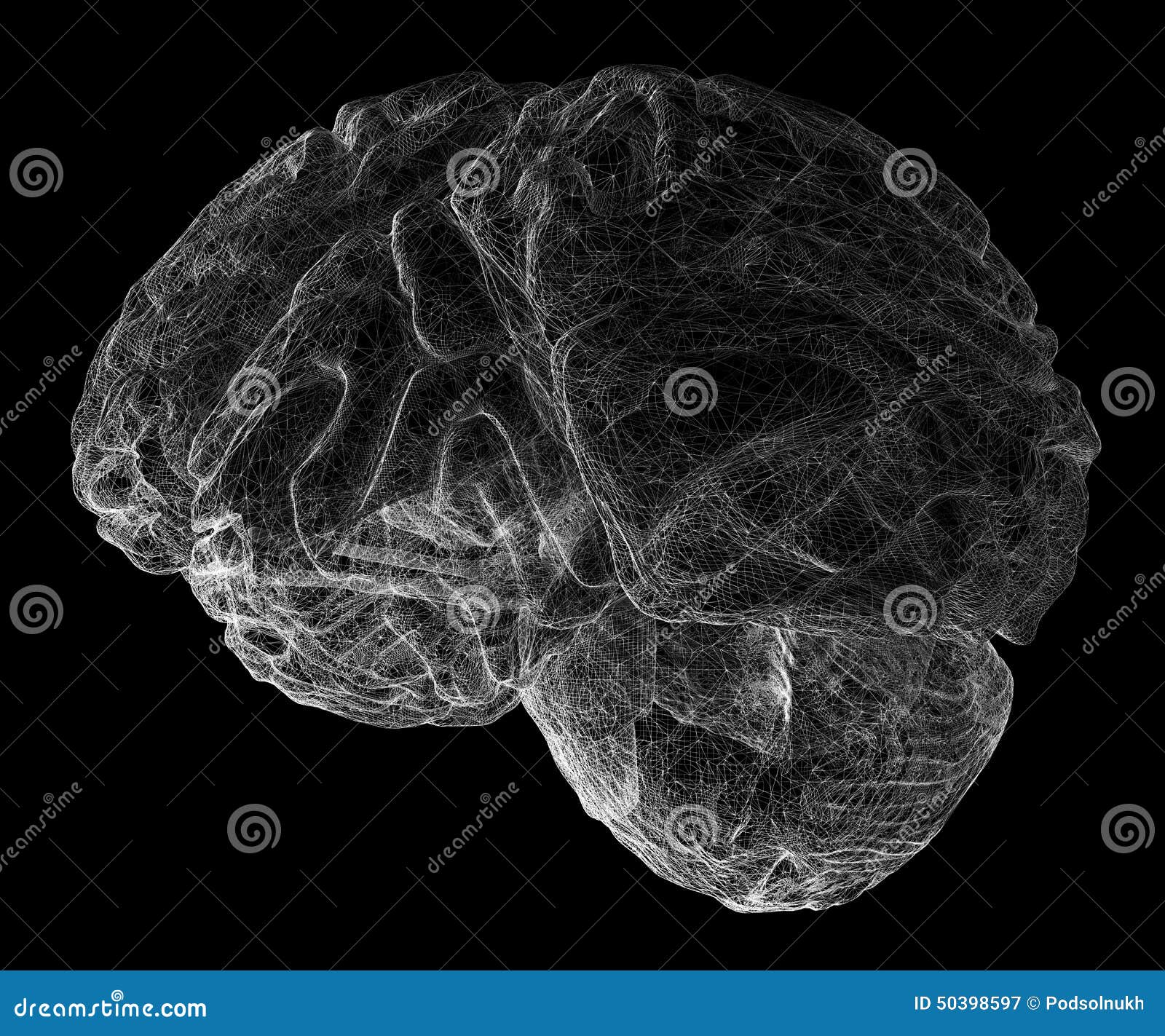 Brain stock illustration. Illustration of brain, inside - 50398597