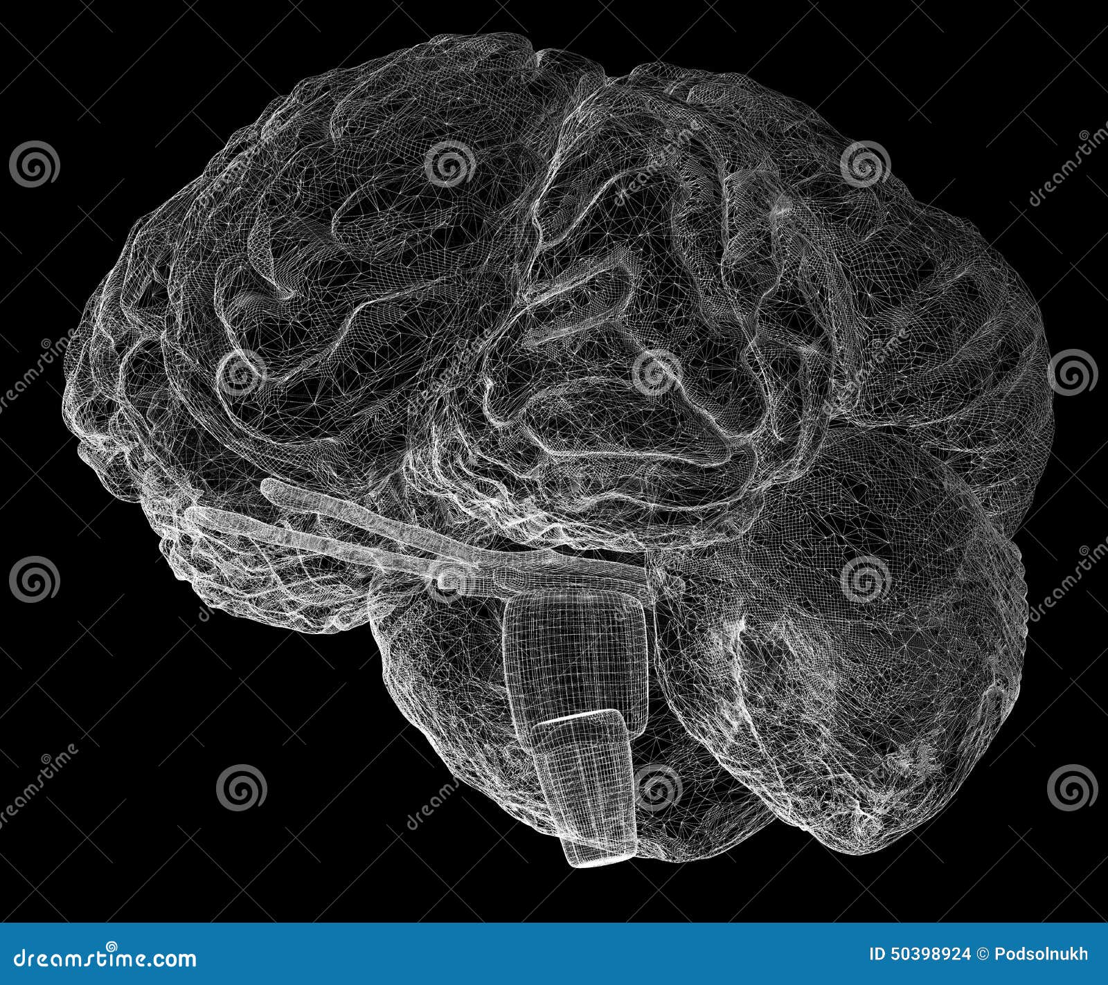 Brain stock illustration. Illustration of anatomy, experiment - 50398924