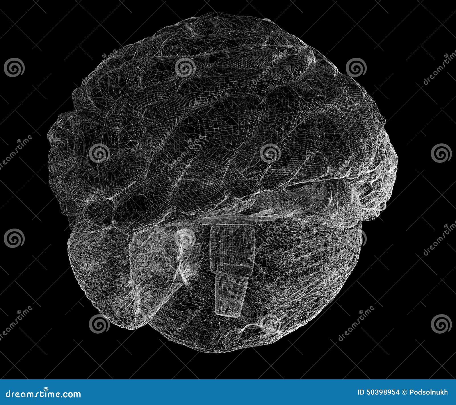 Brain stock illustration. Illustration of human, brain - 50398954