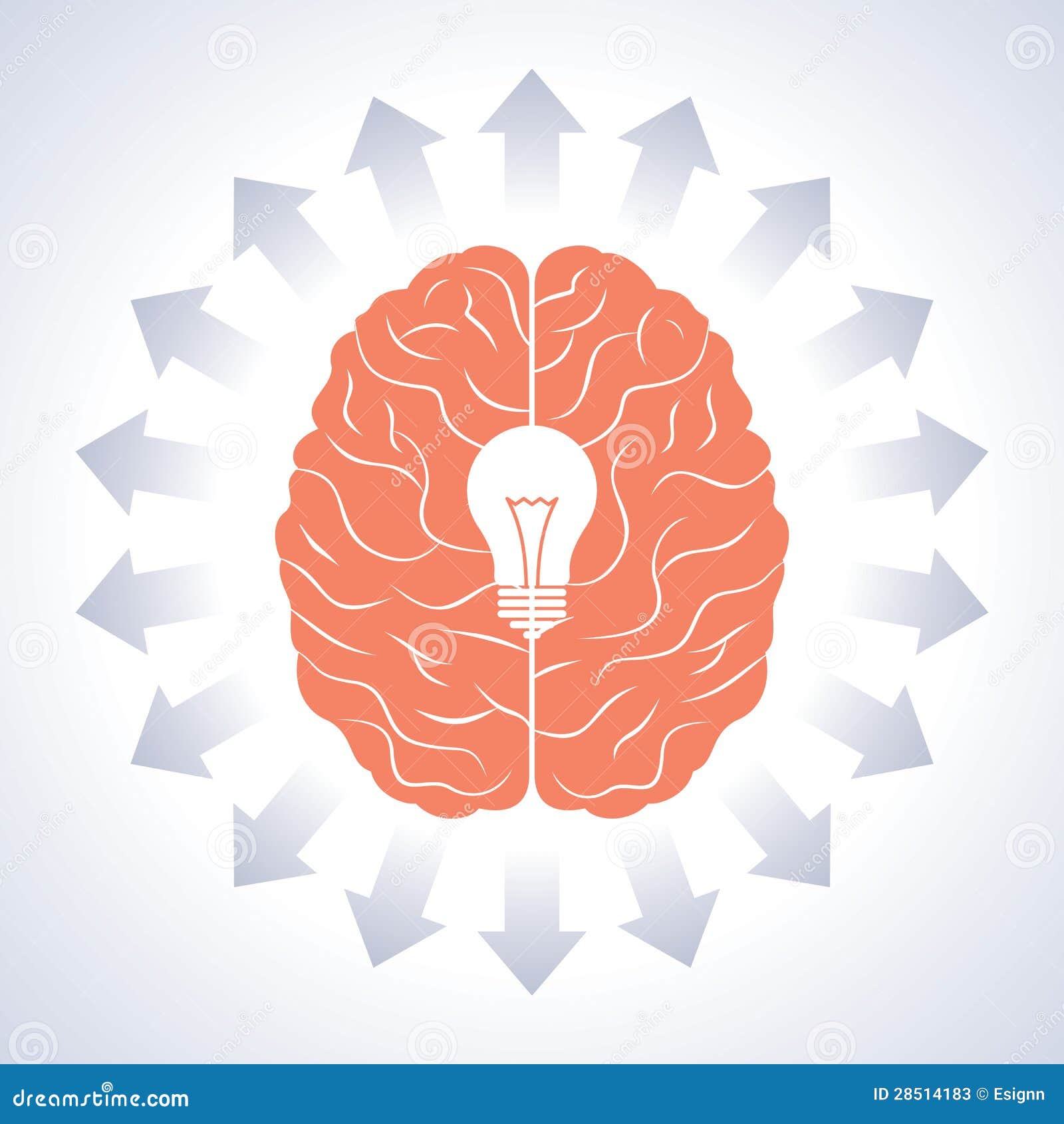 Brain and moving arrow stock vector. Illustration of enlightening ...