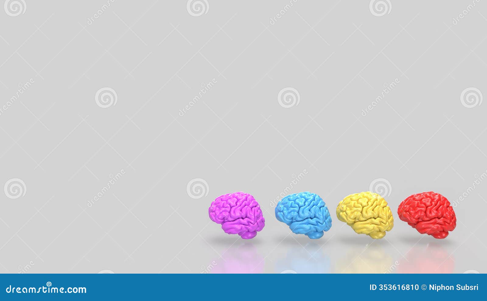 The Brain Multi Color on White Background for Education or Sci Concept ...