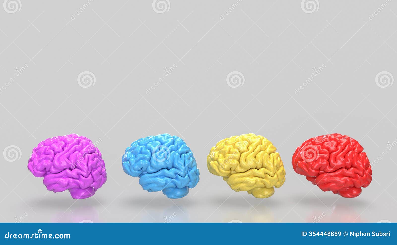 The Brain Multi Color on White Background for Education or Sci Concept ...
