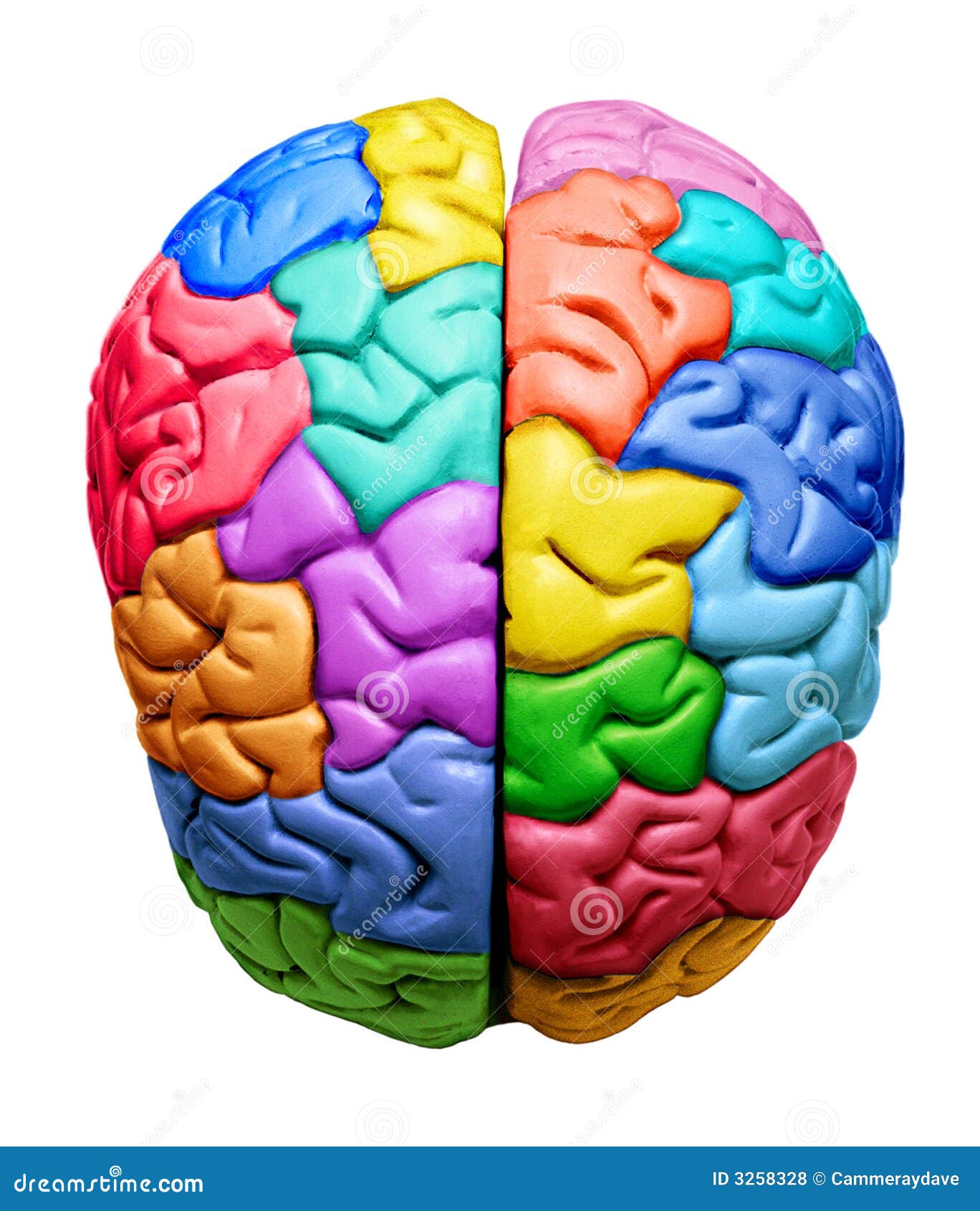 Brain multicolored 库存照片. 图片 包括有 创新, 五颜六色, 智力, 商业, 智能, 艺术 - 3258328