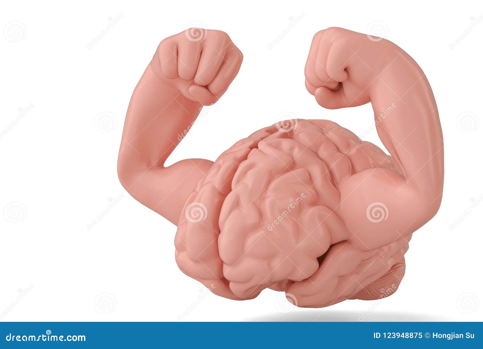 Brain and Muscle Strong Brain 3D Illustration Stock Illustration ...
