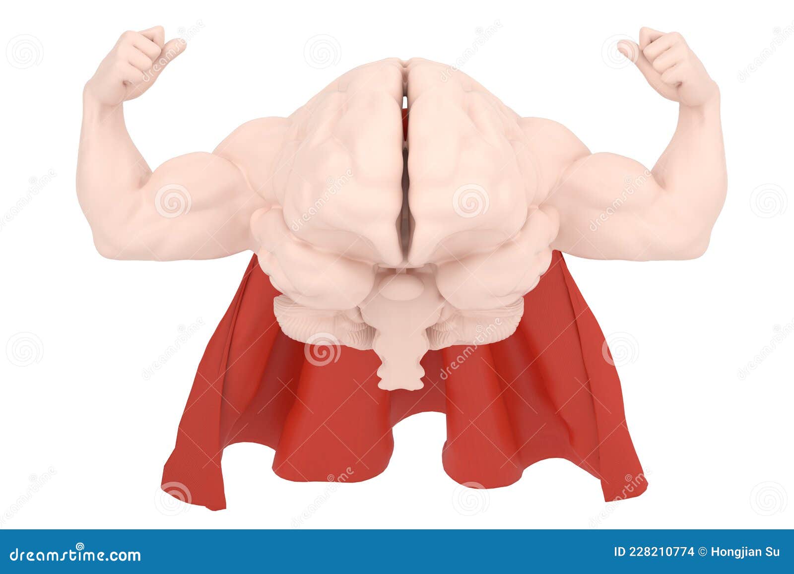 Brain and Muscle Strong Brain Isolated on White Background. 3D ...