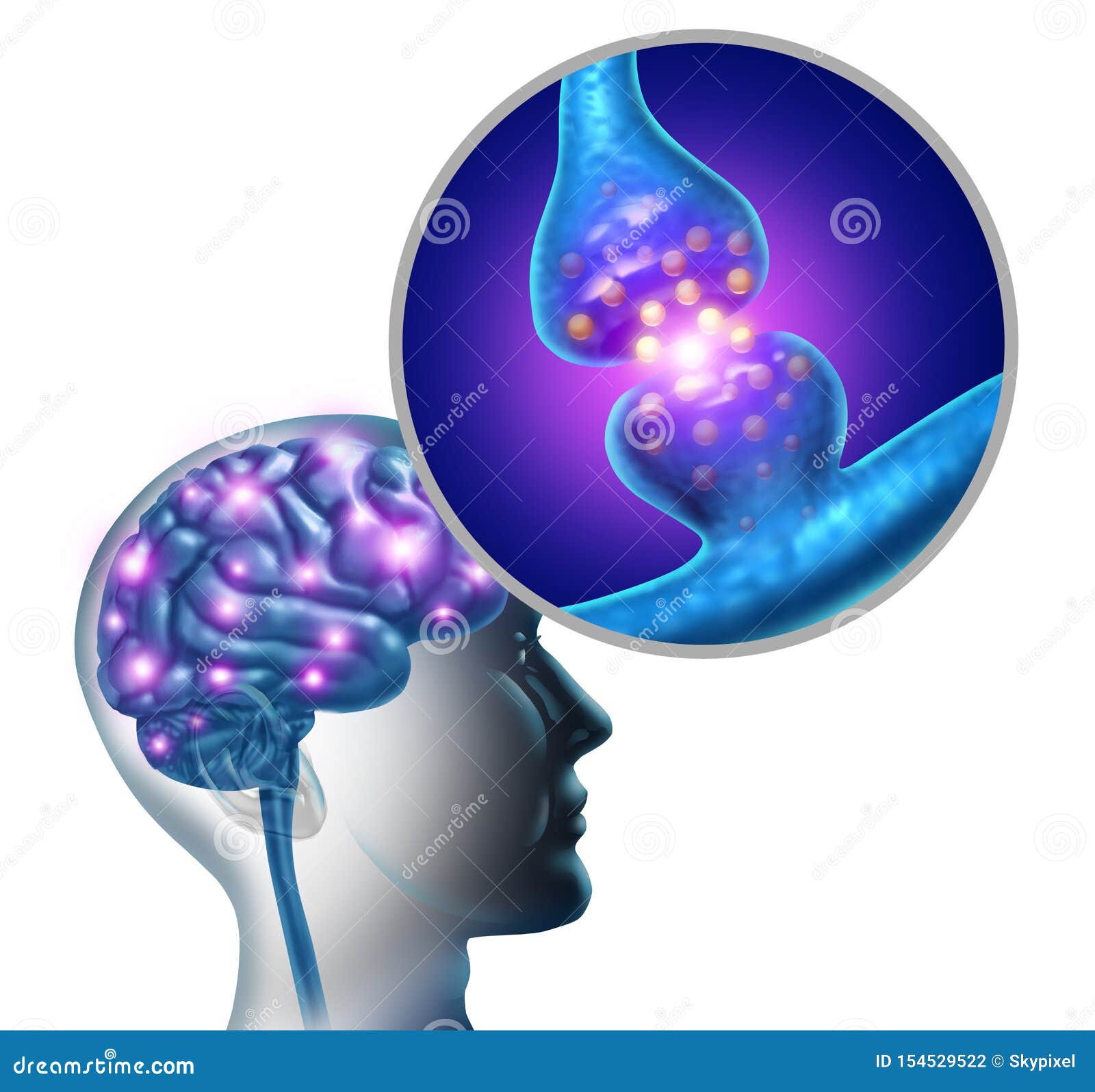 Brain Synapse Diagram